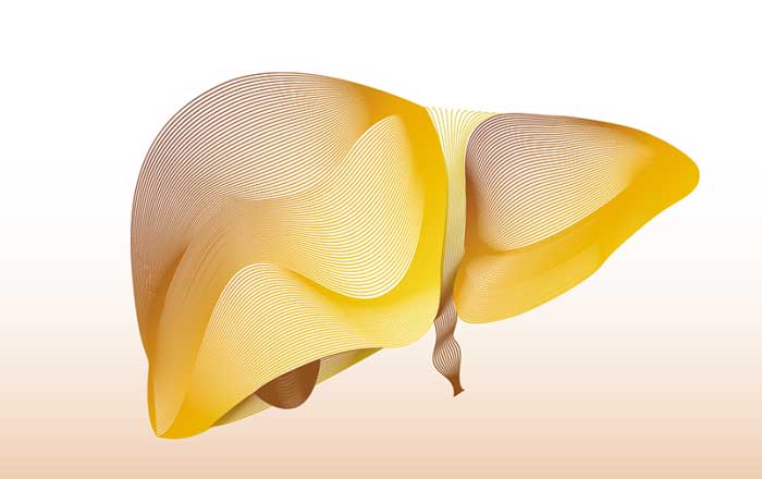 Fibroza hepatică: simptome, cauze și tratament naturist - Doftoria.ro